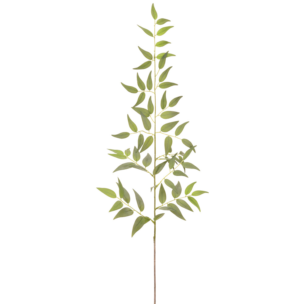 36" Silk Italian Ruscus Leaf Stem -Green/Gray | Tree Branch Stems ...