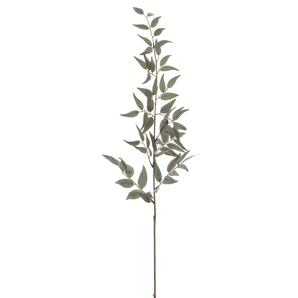 36" Silk Italian Ruscus Leaf Stem -Green | Tree Branch Stems — Silks ...