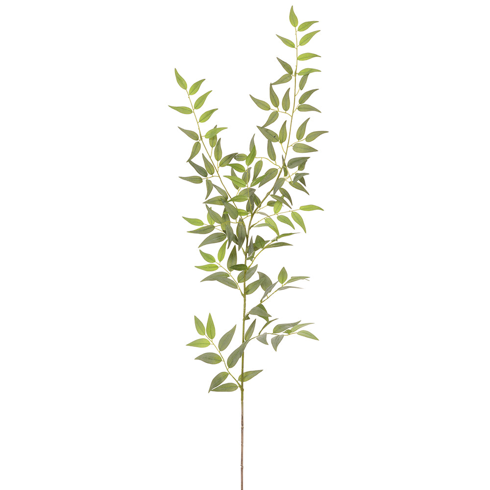 49" Silk Italian Ruscus Leaf Stem -Green/Gray | Tree Branch Stems ...