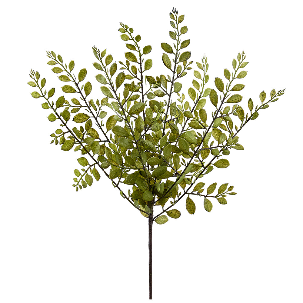 26" Silk Sophora Japonica Leaf Stem -Green | Tree Branch Stems — Silks ...