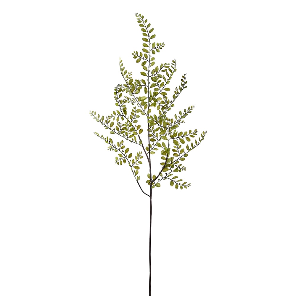 54" Silk Sophora Japonica Leaf Stem -Green | Tree Branch Stems — Silks ...