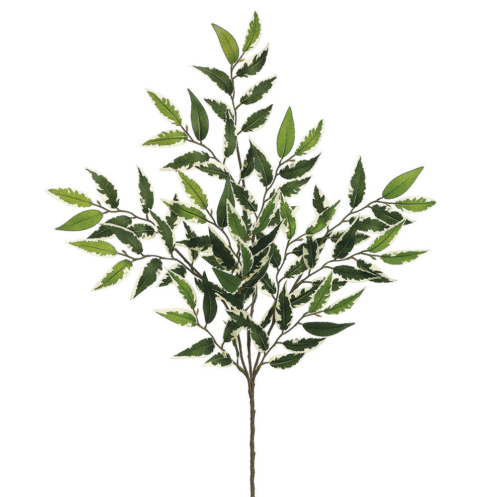 27" Silk Smilax Stem -Variegated | Tree Branch Stems — Silks Are Forever
