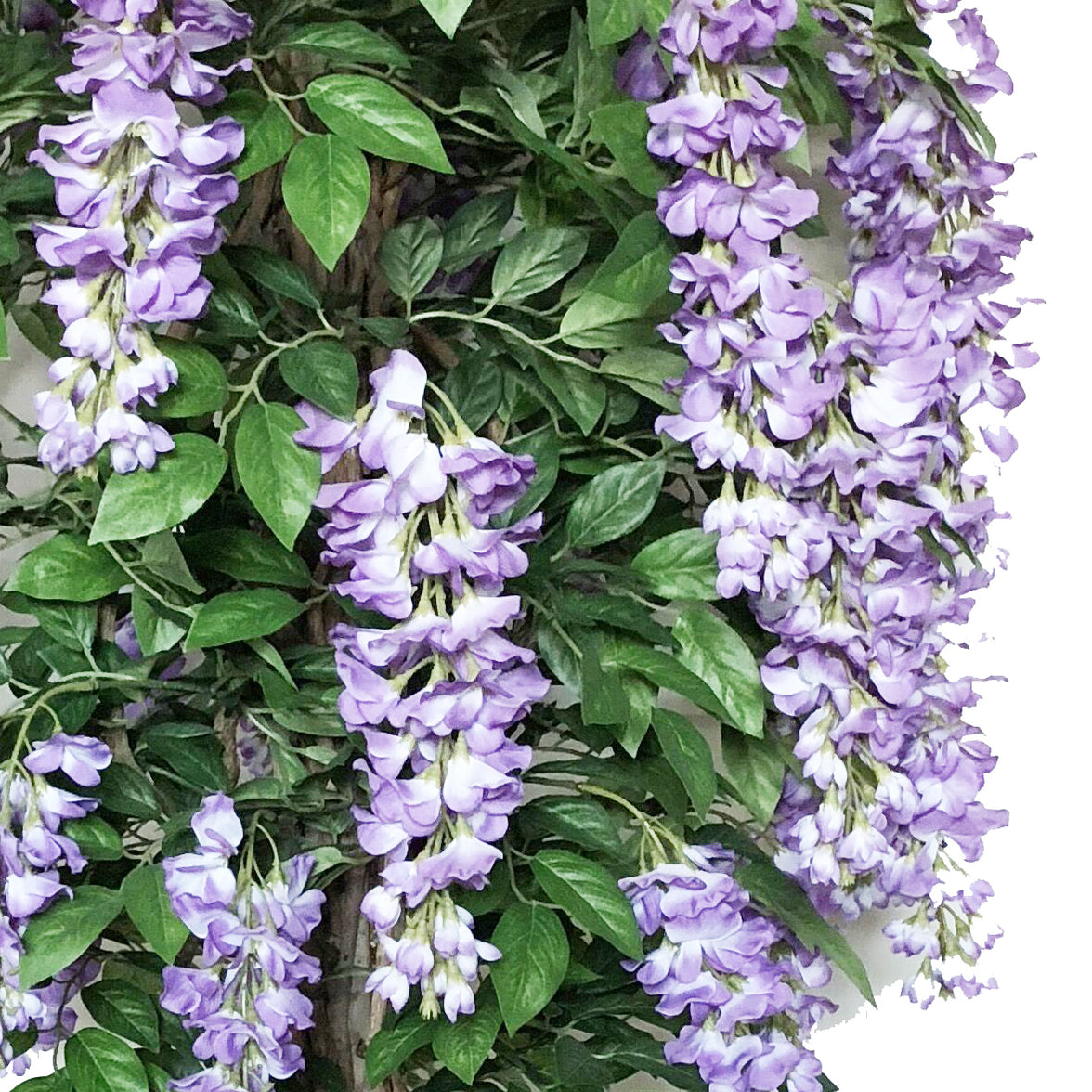 6'5" Multi Vine Trunk Wisteria Flower Silk Tree w/Pot -Purple — Silks ...