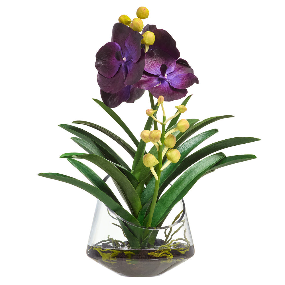 19"Hx16"W Vanda Orchid Silk Flower Arrangement w/Glass Vase -Purple ...