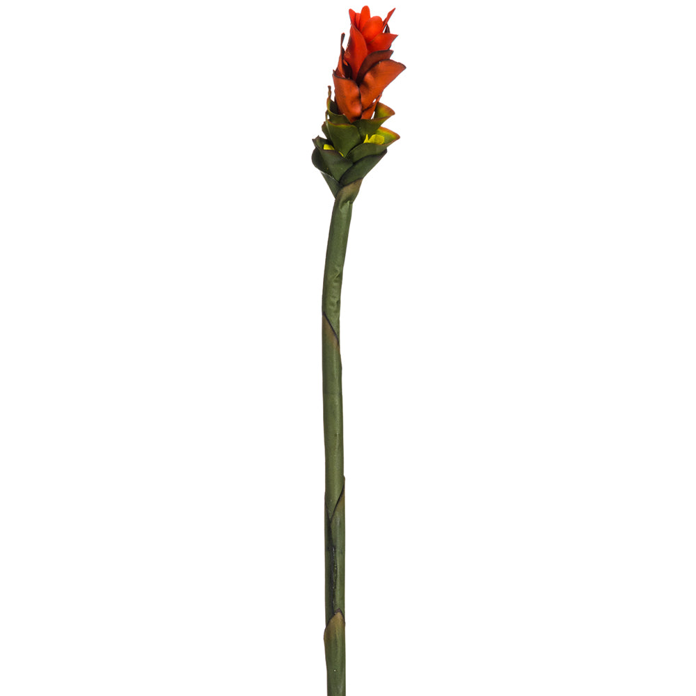 28" Hand-Wrapped Ginger Silk Flower Stem -Red | Ginger Stem — Silks Are ...