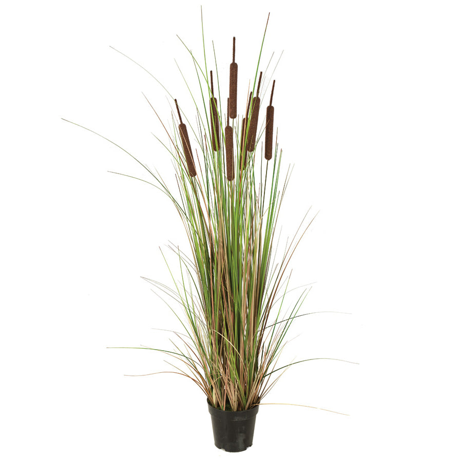 4' IFR PVC Cattail Grass Artificial Plant w/Pot -Brown/Green — Silks ...