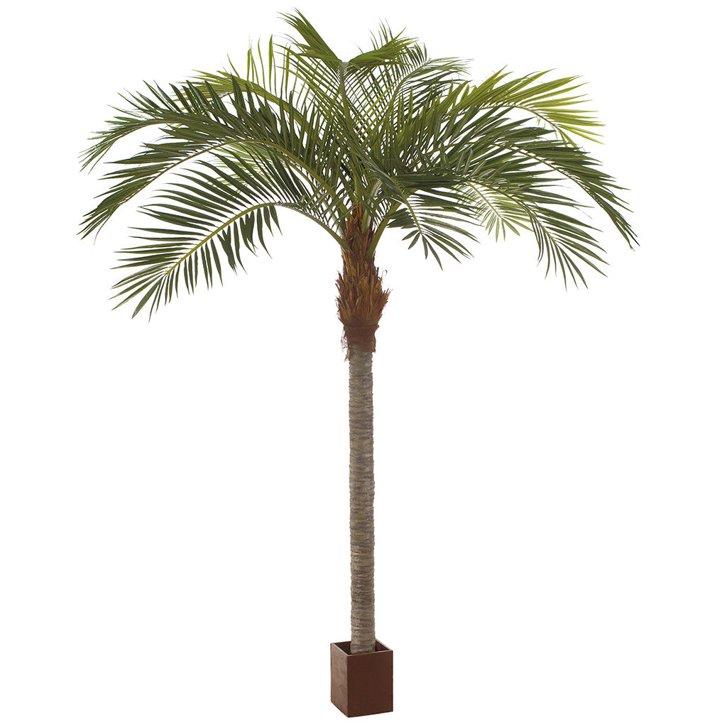 11' Silk Coconut Palm Tree w/Pot -Green | More Palm Trees — Silks Are ...