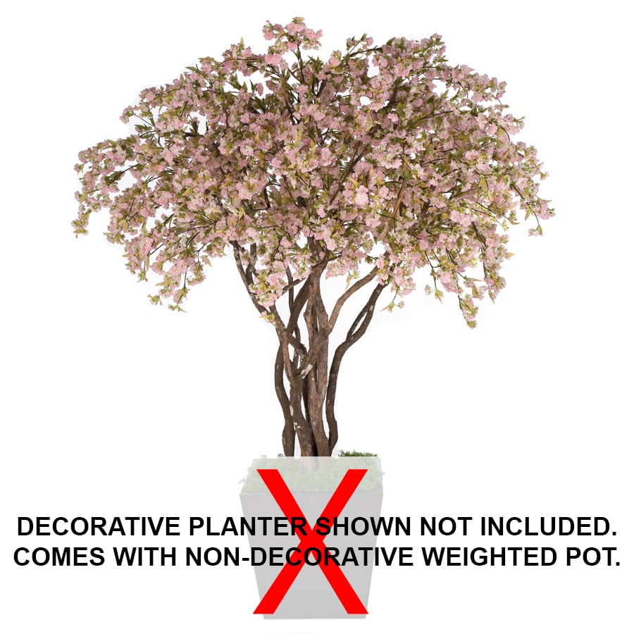 8' Cherry Blossom Silk Tree w/Pot -Pink | Flowering Trees — Silks Are ...